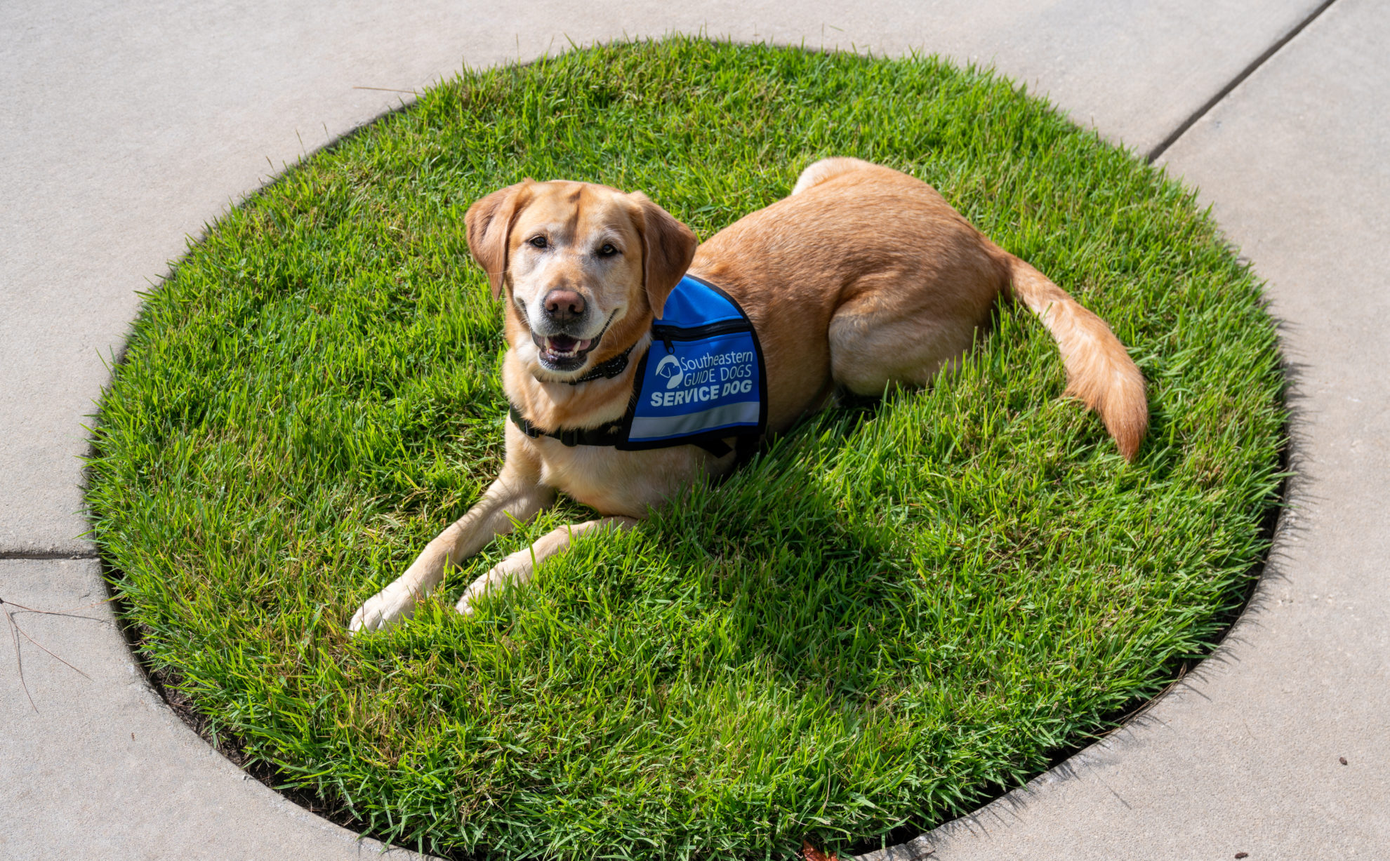 Hope Restored - Southeastern Guide Dogs Inc
